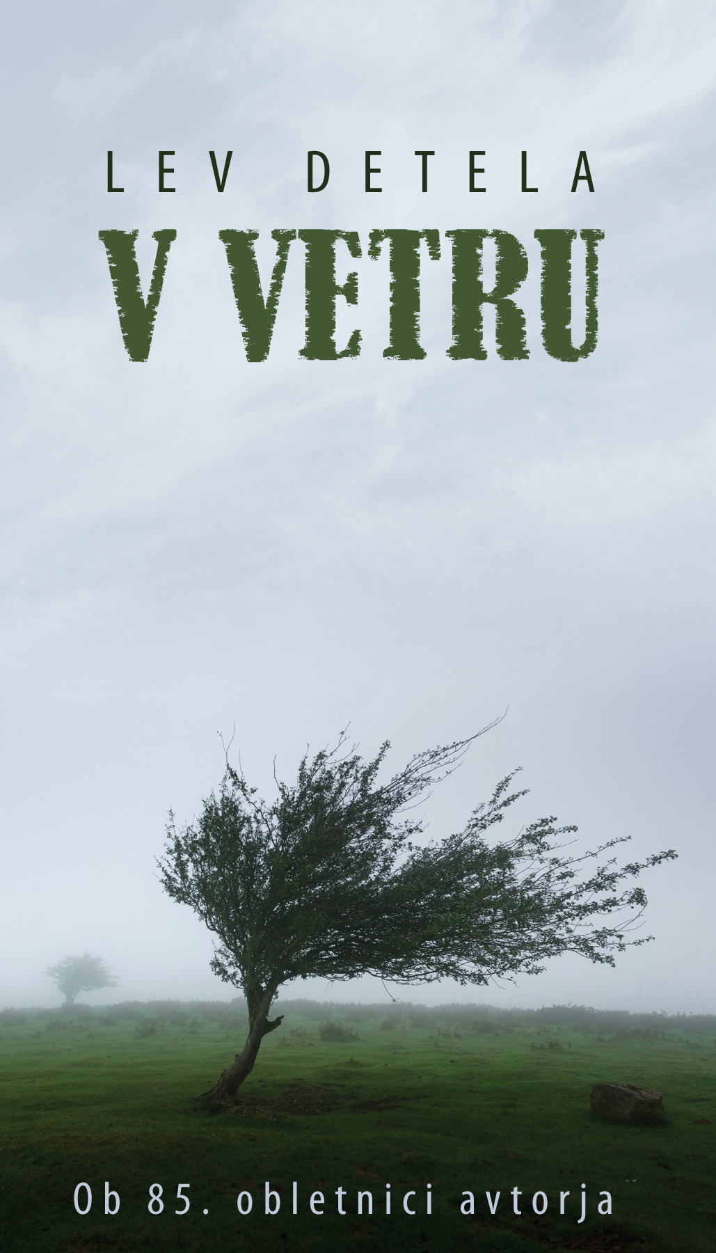 Lev Detela: V VETRU – Kulturni center Maribor – založba